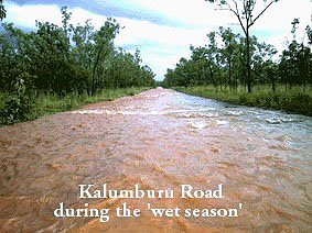 Road & Weather Conditions